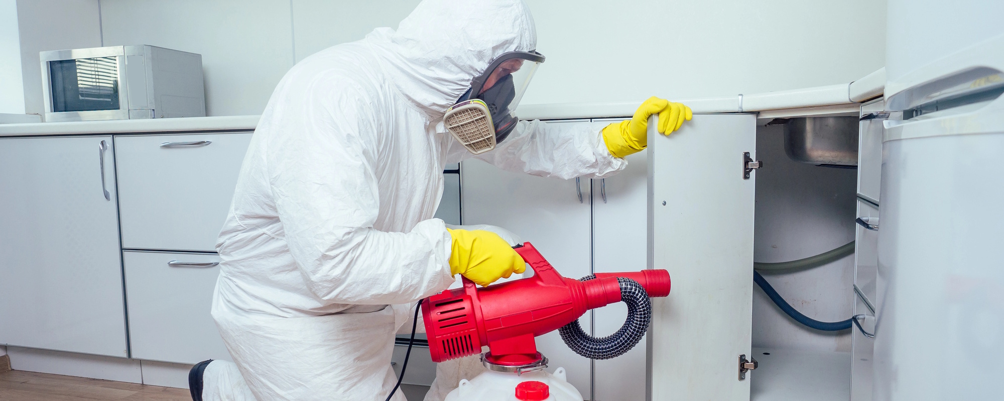 Ozonbehandlung Wohnung Raucher