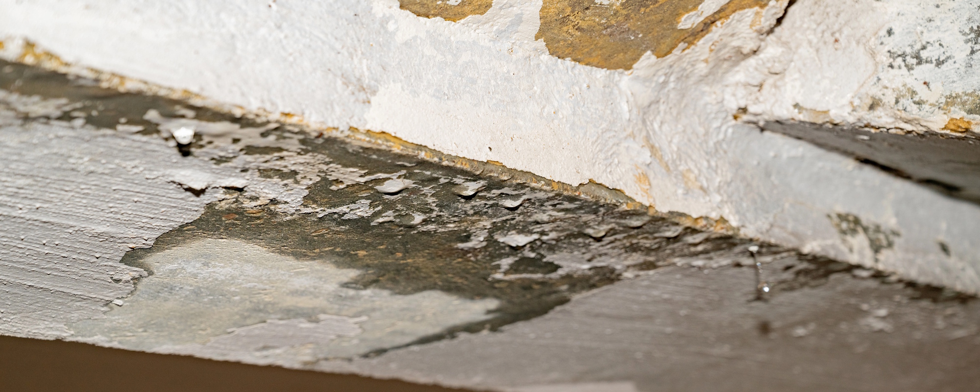 Kondensfeuchte im Keller beseitigen und Schimmel vorbeugen